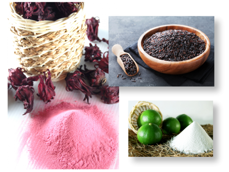 Natural Extract Powder – Multitech Foods Manufacturing Co., Ltd.